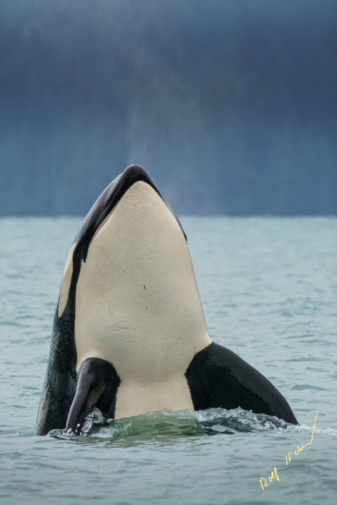 Private Family Wildlife & Photo Tours with photographer Rolf Hicker😀